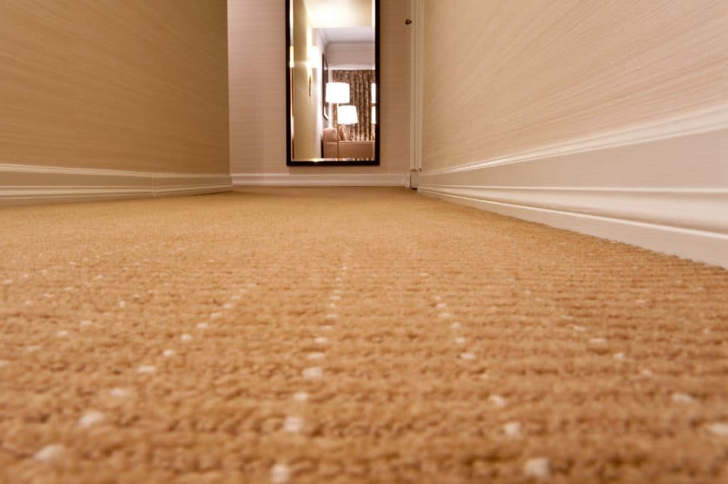 Dangers In Your Carpet In Flower Mound – What You Need To Know