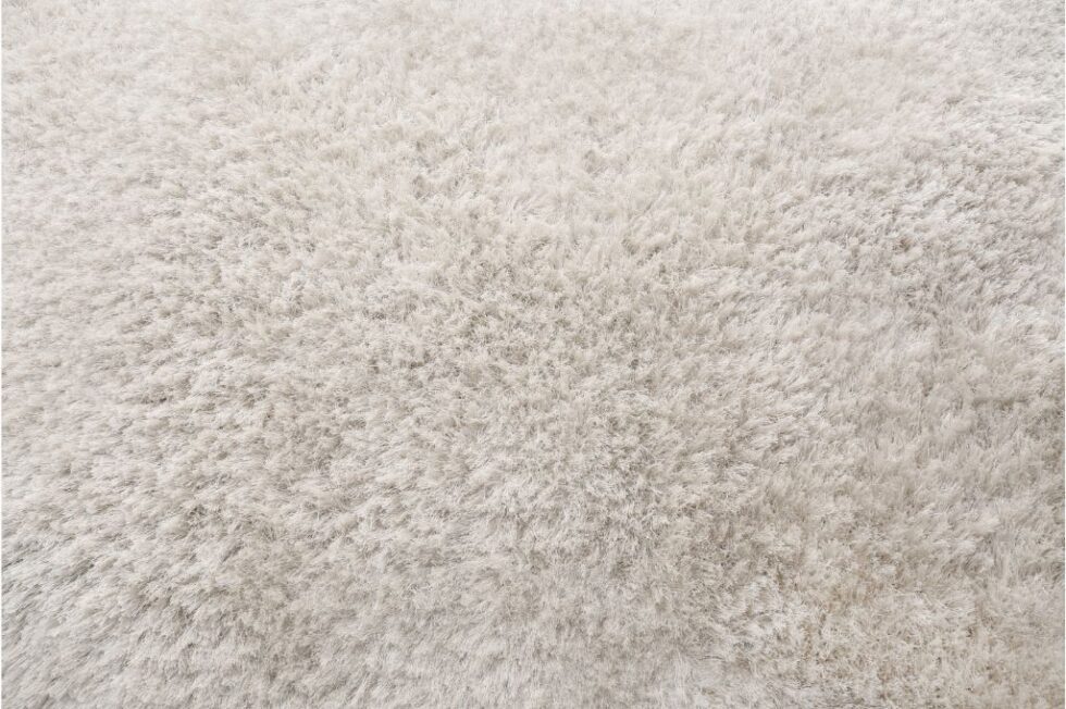 Dangers In Your Carpet In Flower Mound – What You Need To Know